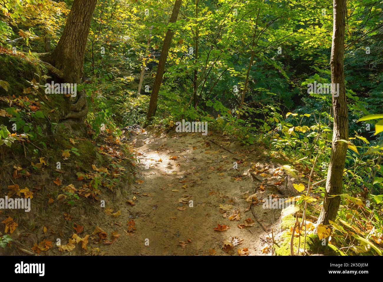 Hiking trail through Fall landscape at Starved Rock State Park ...