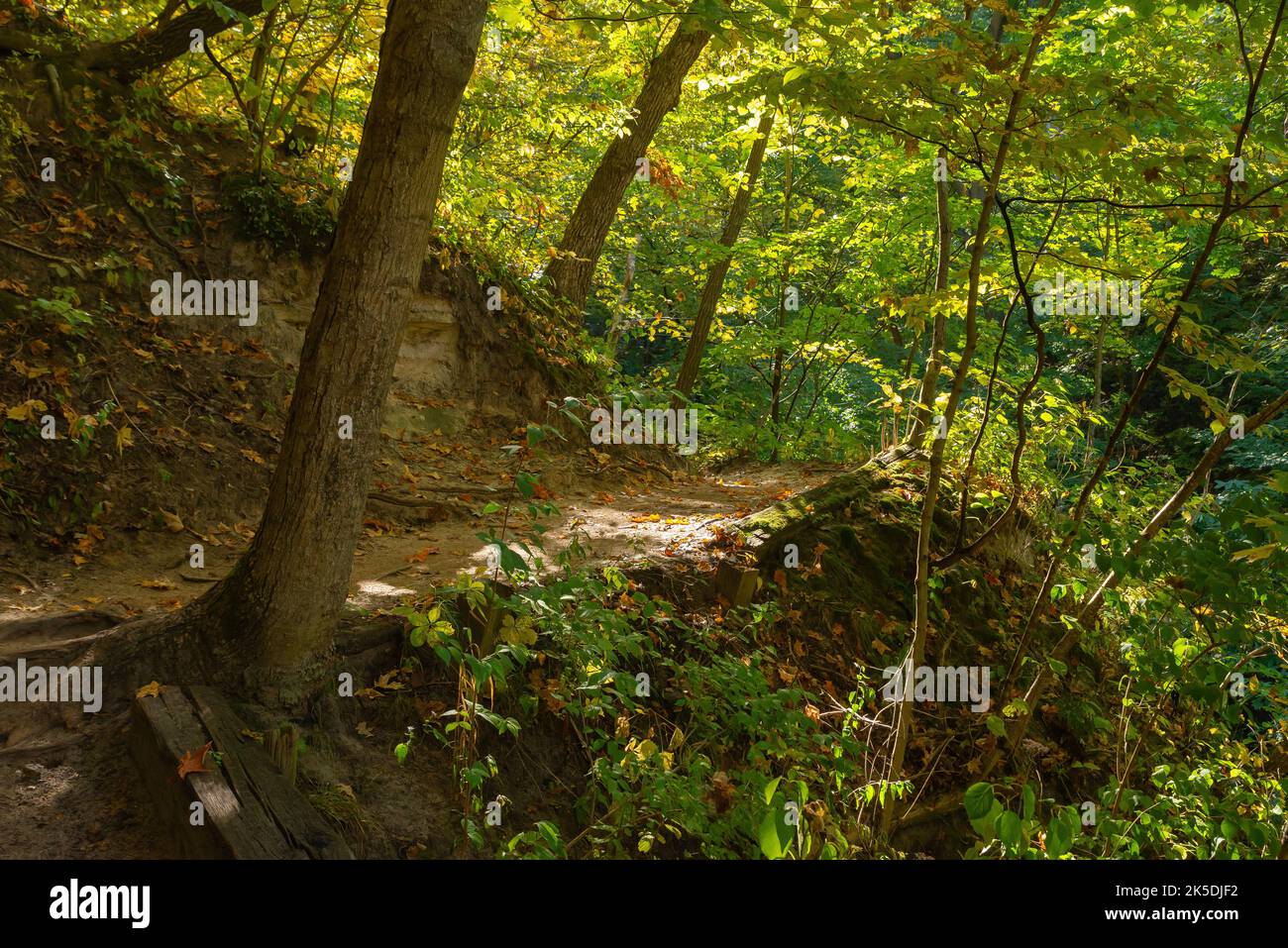 Hiking trail through Fall landscape at Starved Rock State Park ...