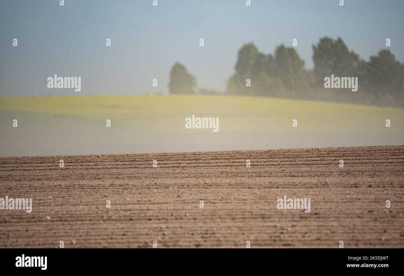Sandstorm over farmland. Silence and wind blowing a cloud of dust. The ...