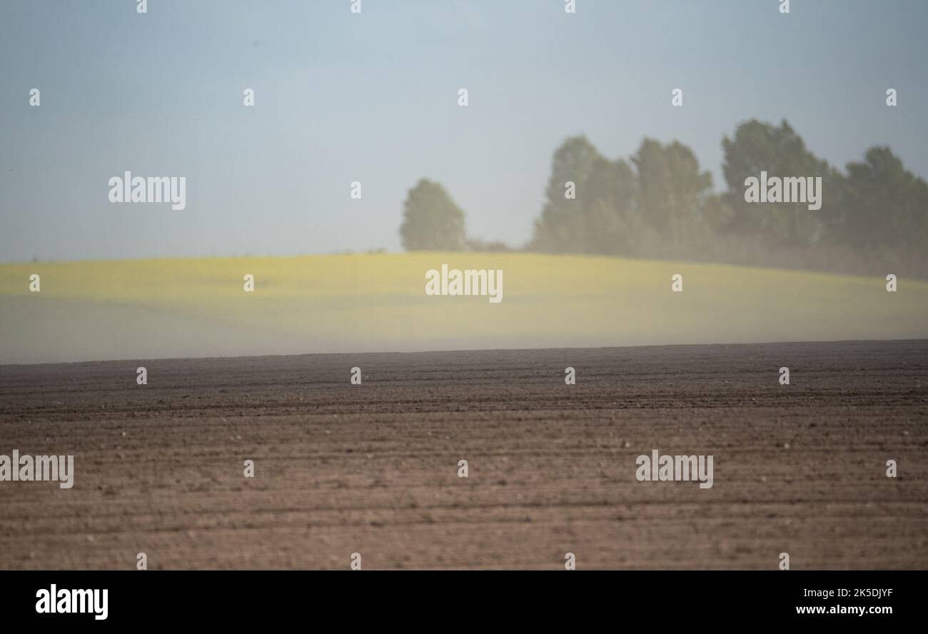 Sandstorm over farmland. Silence and wind blowing a cloud of dust. The ...