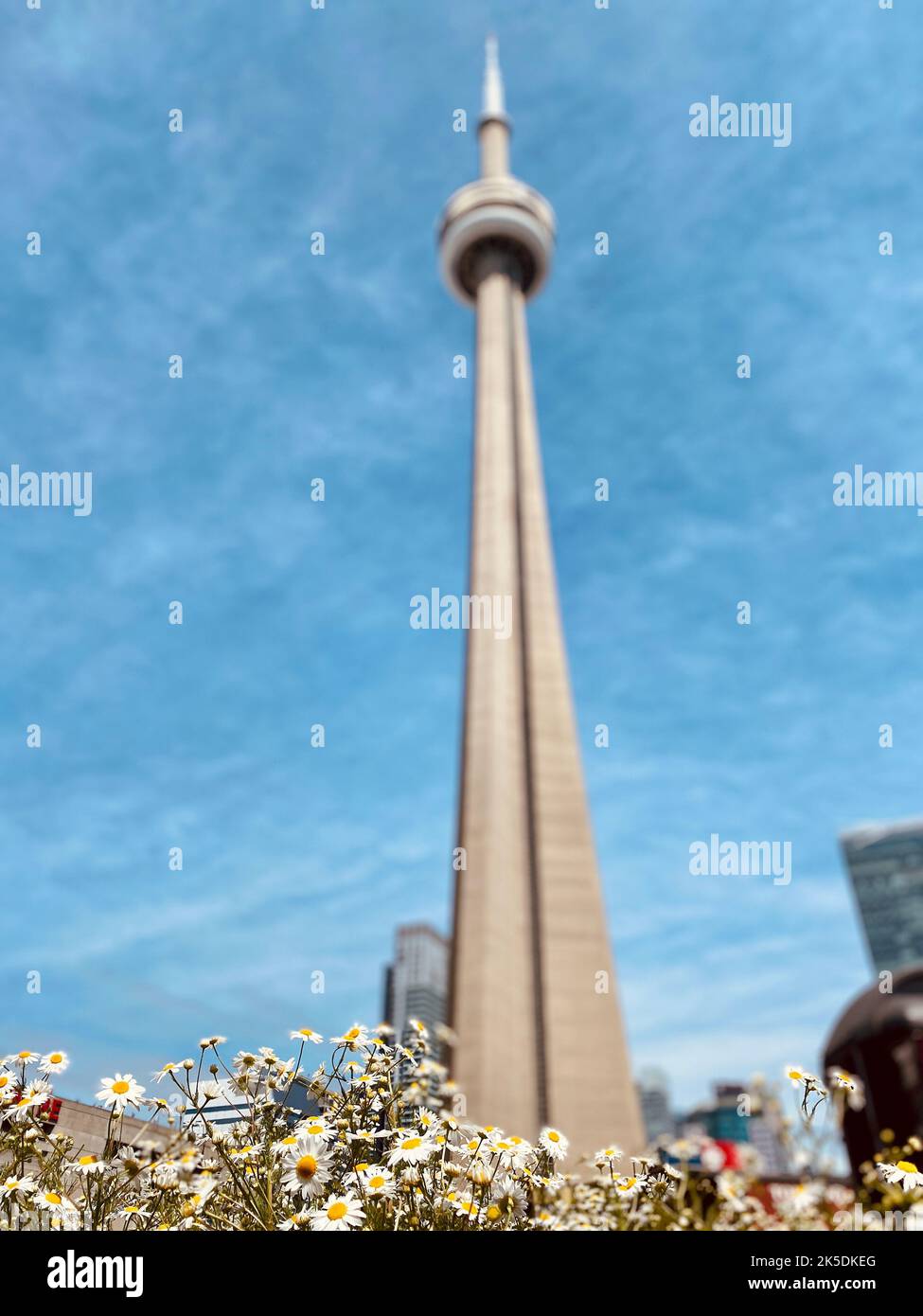 A vertical shot of the Toronto Metropolitan CN Tower in Canada Stock ...
