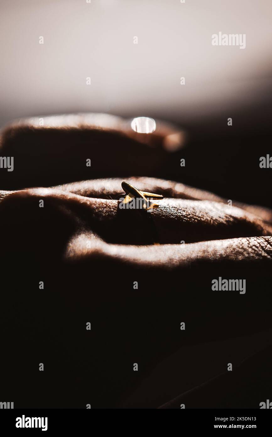 A vertical closeup of a plane ring on the ring finger, blurred ...