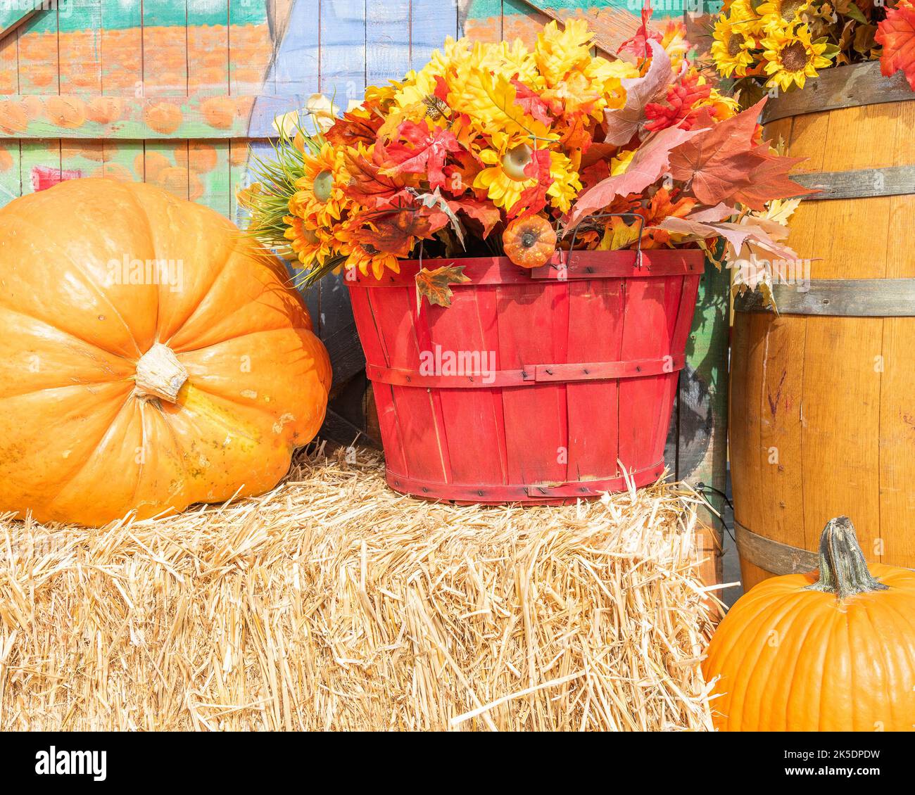 Celebrating autumn hi-res stock photography and images - Alamy