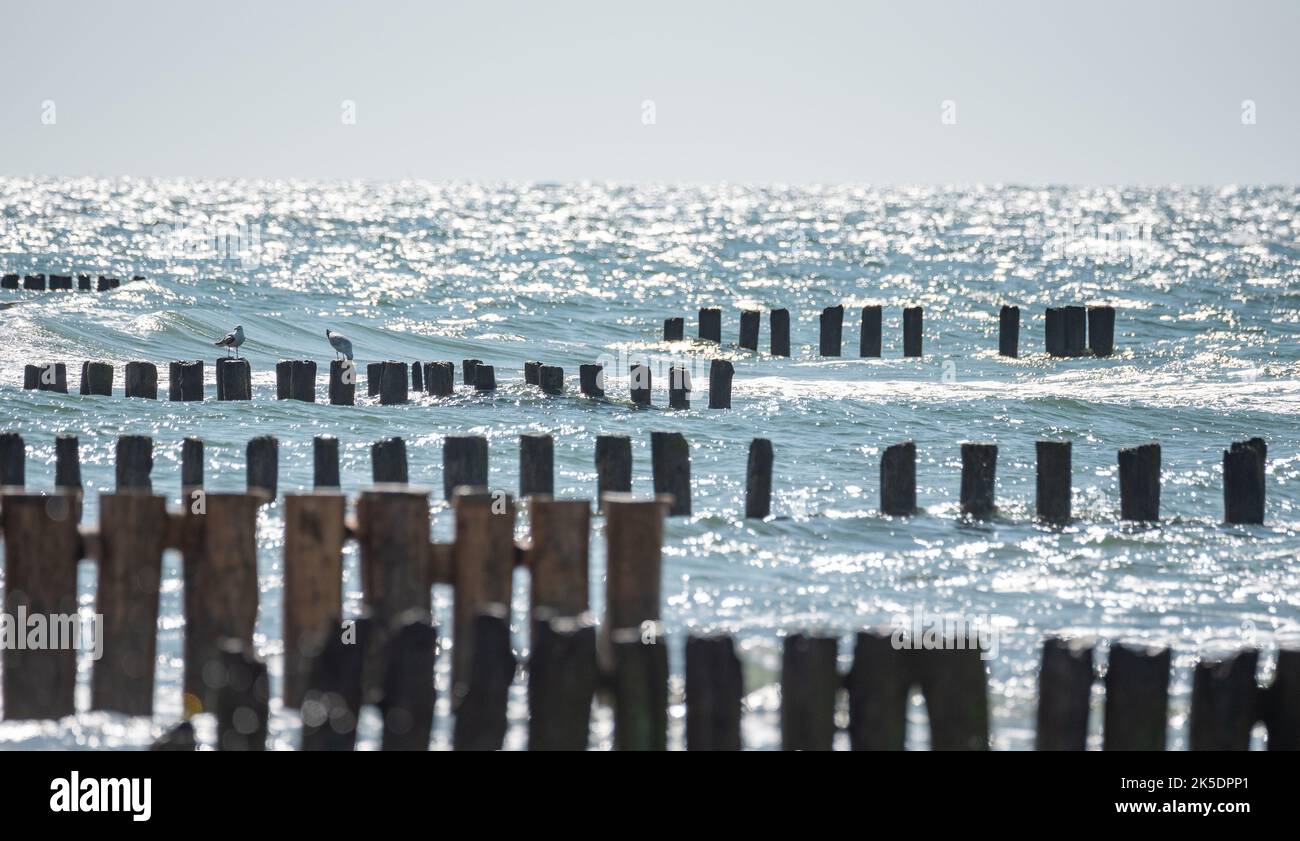 Wooden breakwater and rough sea. Waves at sea crash against the wooden ...