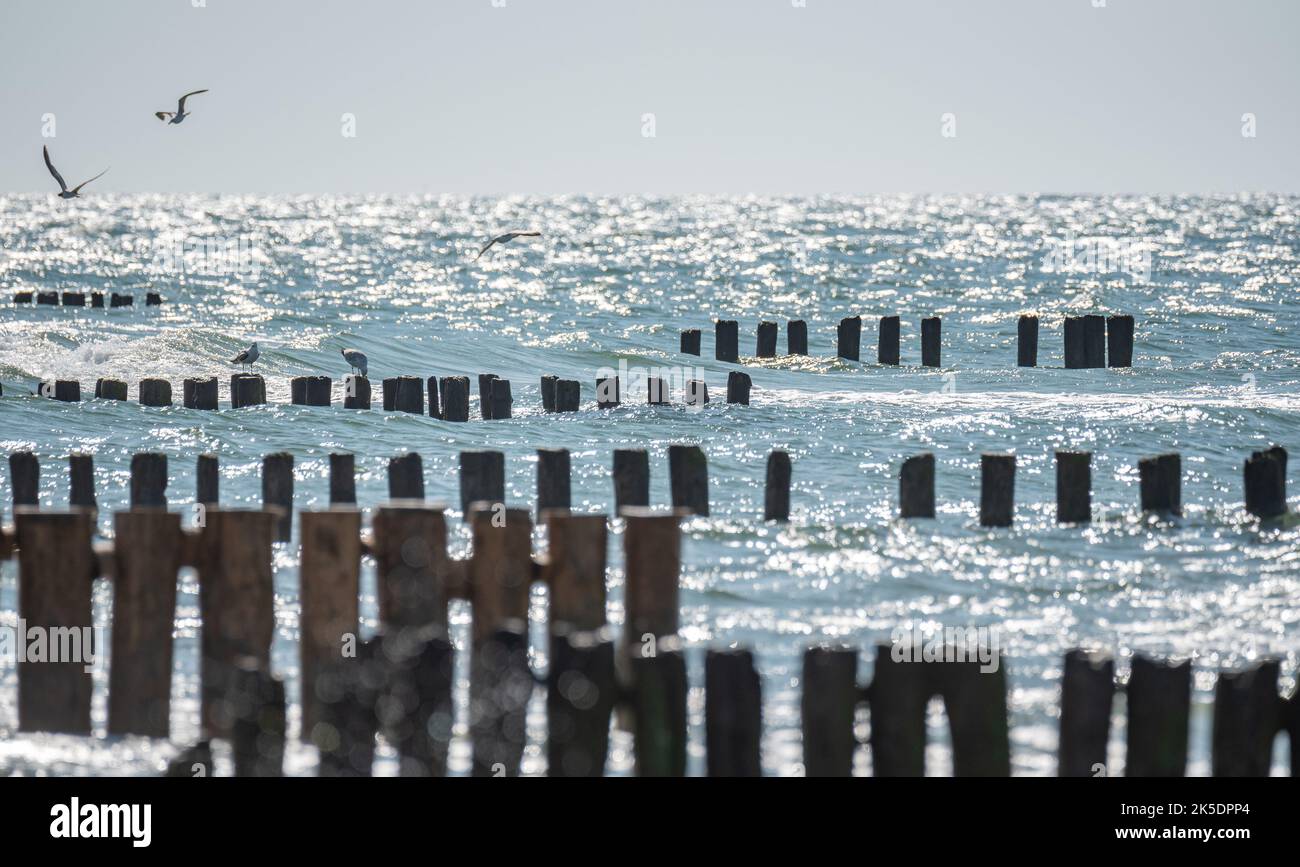Wet wooden pillars hi-res stock photography and images - Alamy
