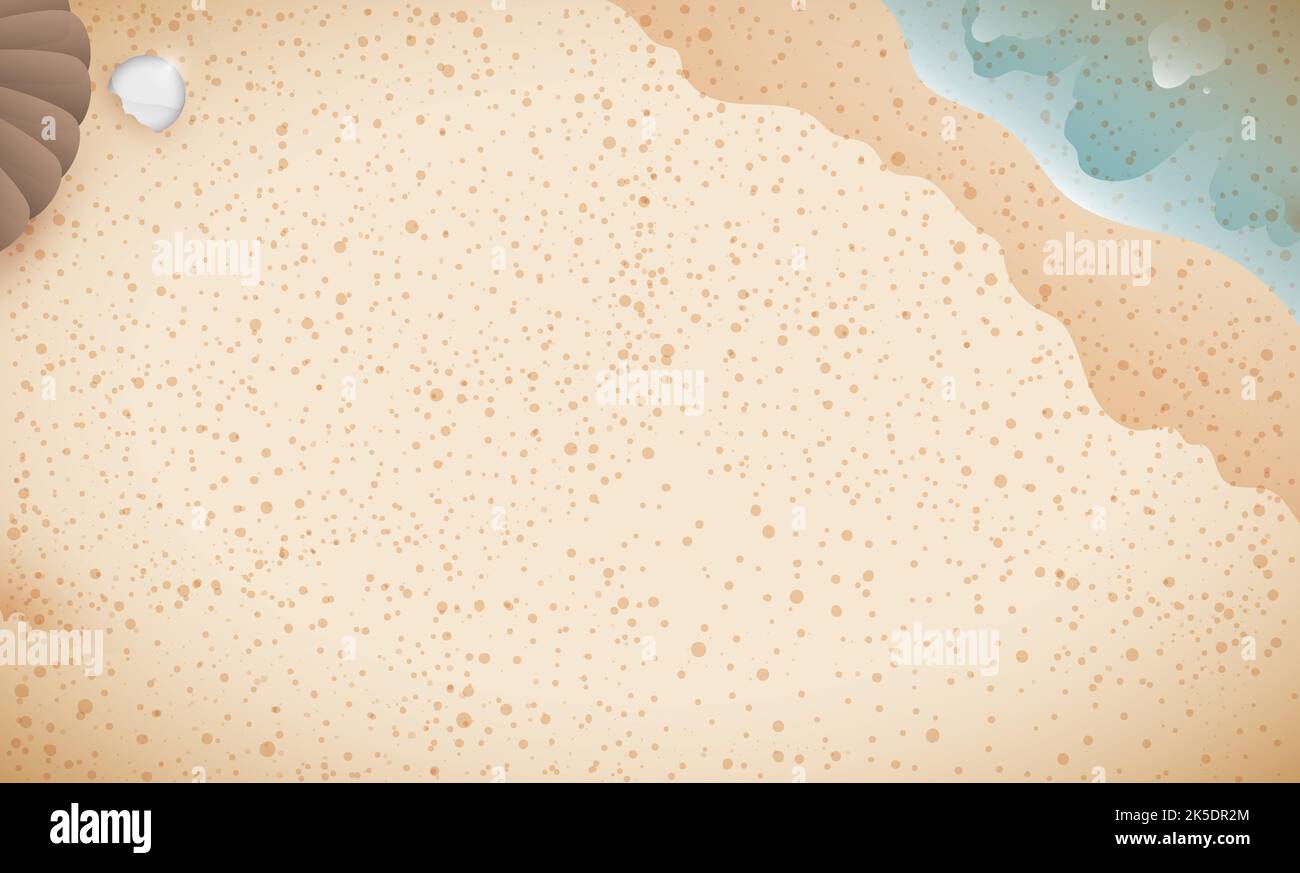 Beachy scene in top view of a serene seashore with sea waves, oyster ...