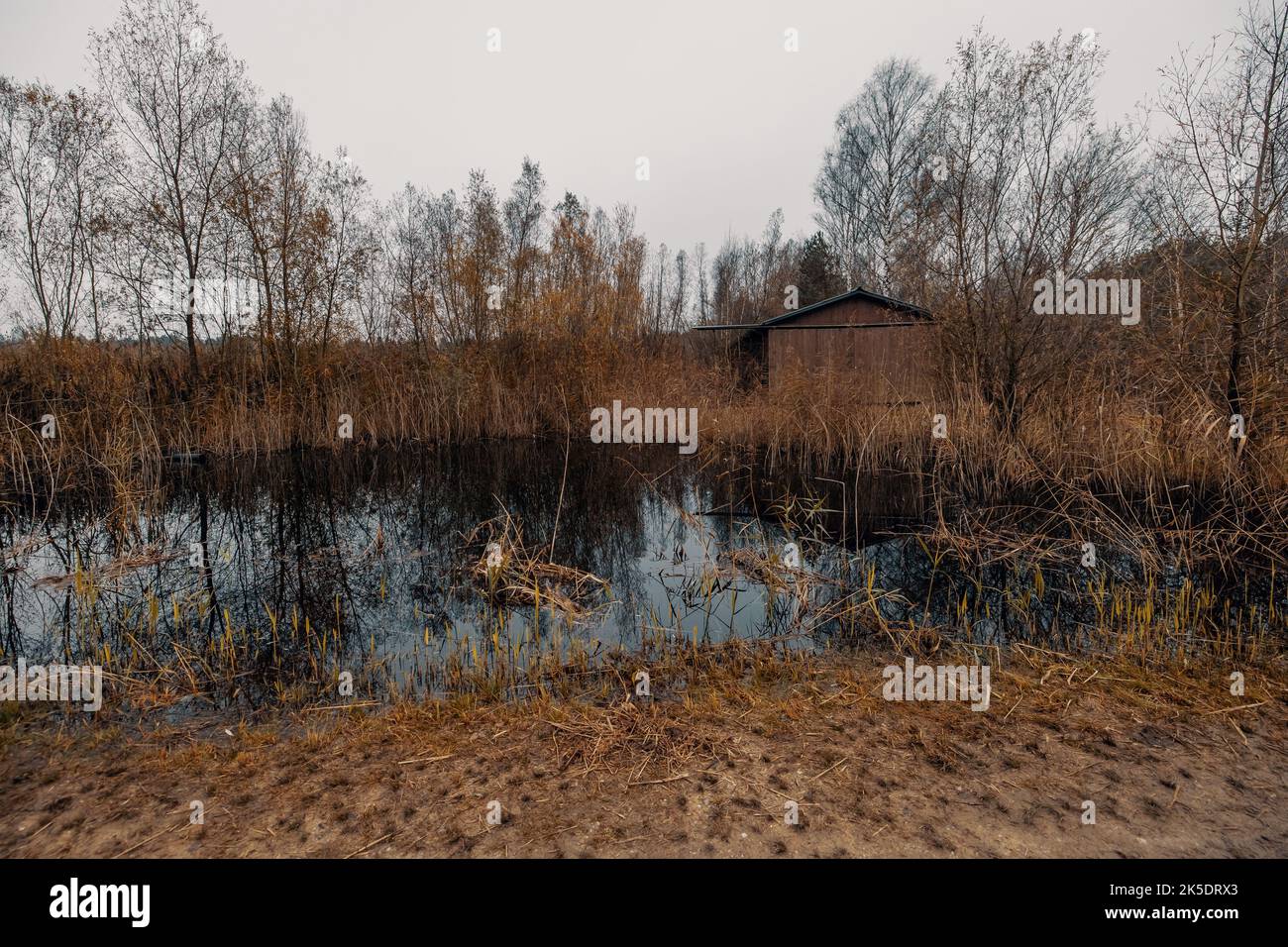 Gray moor hi-res stock photography and images - Alamy