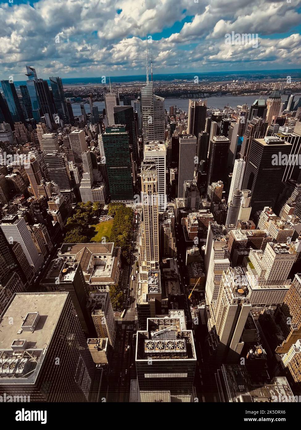 A vertical high-angle shot of the Manhattan Skyline, Bryant Park Summit ...
