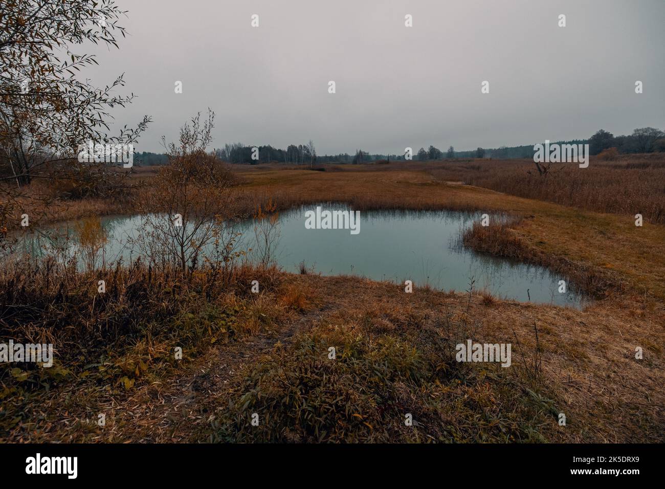 Gray moor hi-res stock photography and images - Alamy