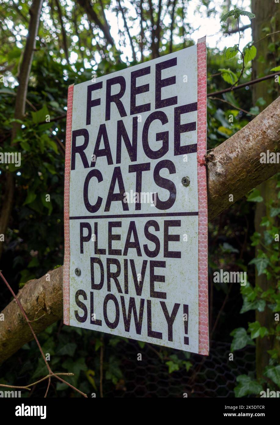 Free Range Cats - Please drive slowly sign Stock Photo - Alamy