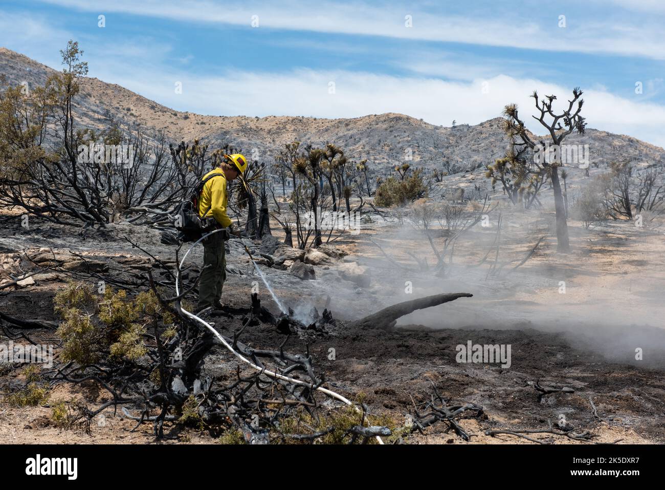 Joshua Tree National Park. A firefighter putting out hot spots in a ...