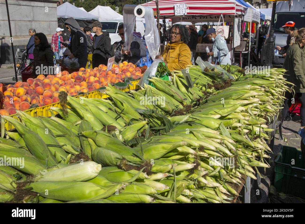 End of summer harvest; corn and peaches at the Grand Army Plaza Farmers ...