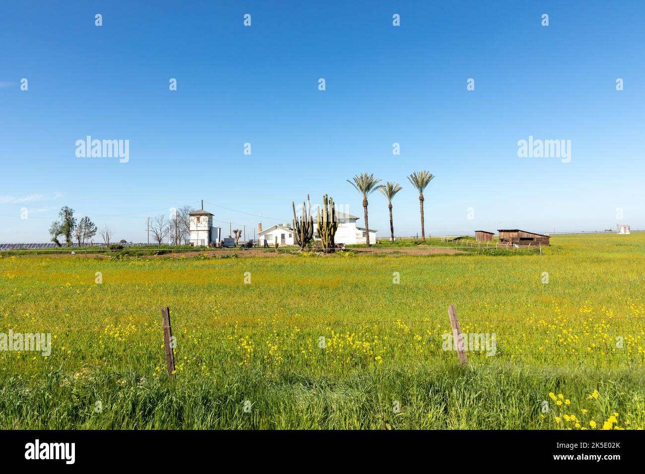 Farm with Palm trees in scenic agricultural landscape in California ...