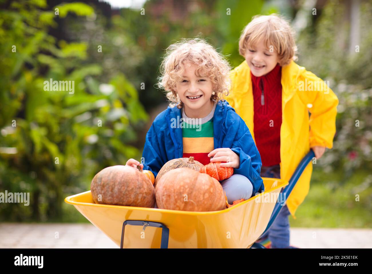 Kids in wheelbarrow on pumpkin patch. Autumn outdoor fun for children ...
