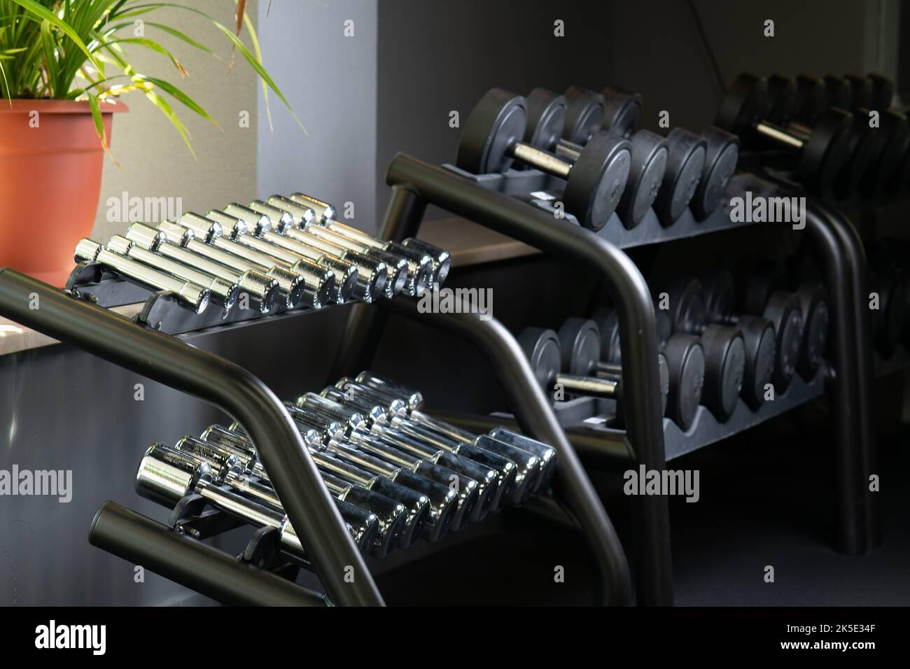 Fitness workout exercise sport gym weight training dumbbell health, for ...