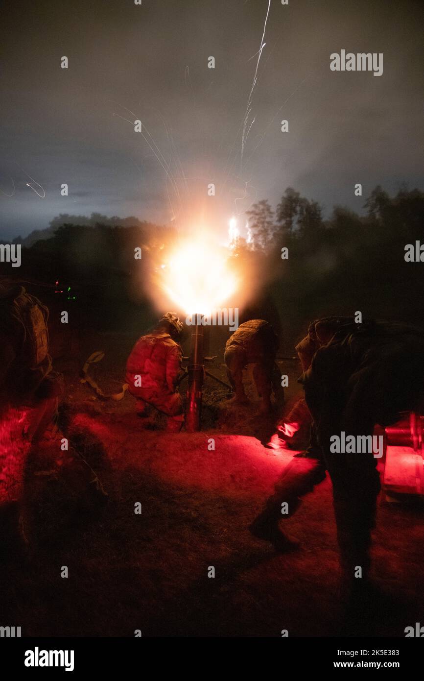 U.S. Army paratroopers assigned to the 1st Battalion, 503rd Infantry ...