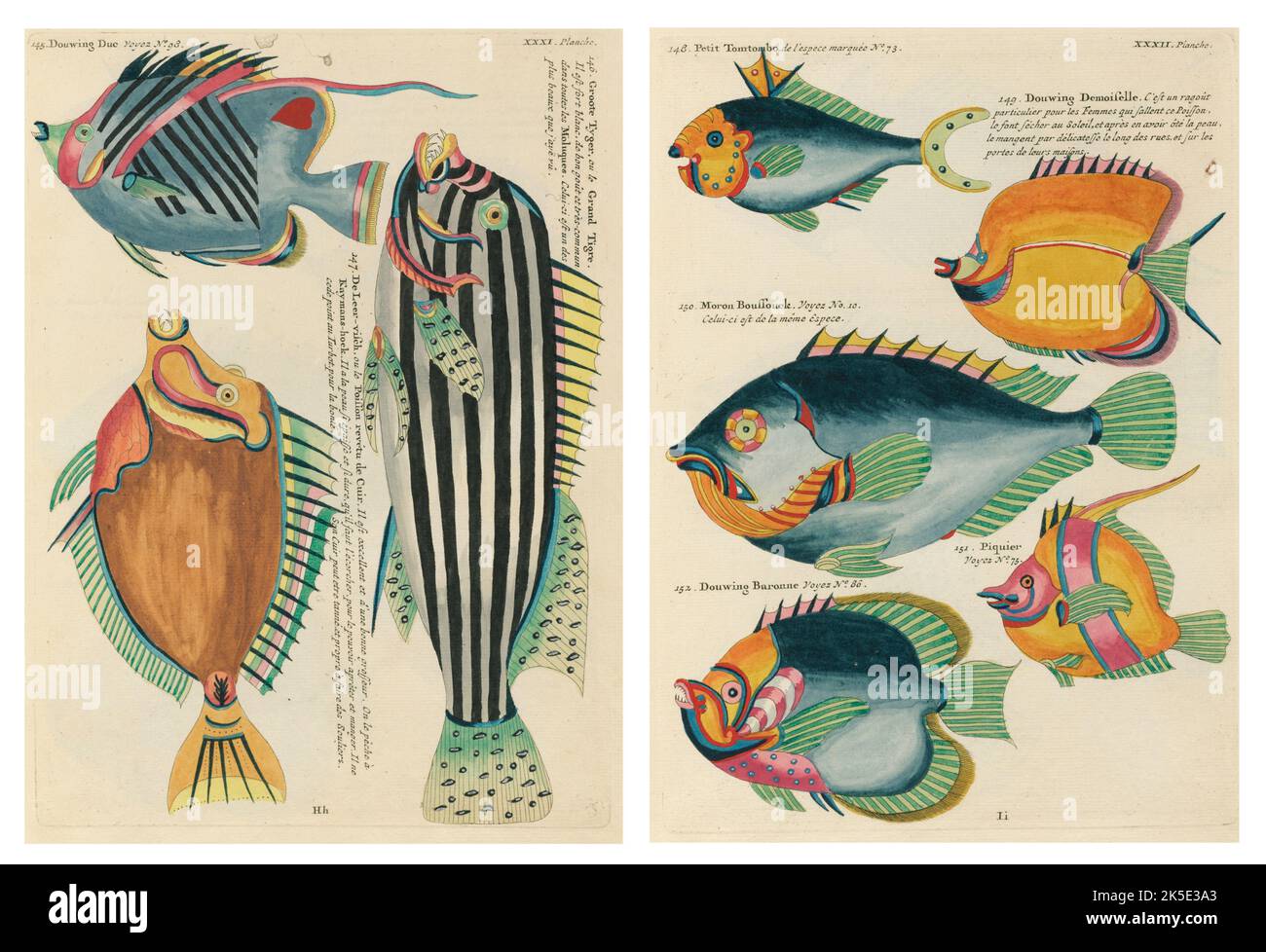 Antique illustrations of Fish, Crab and Crayfish with annotations in ...