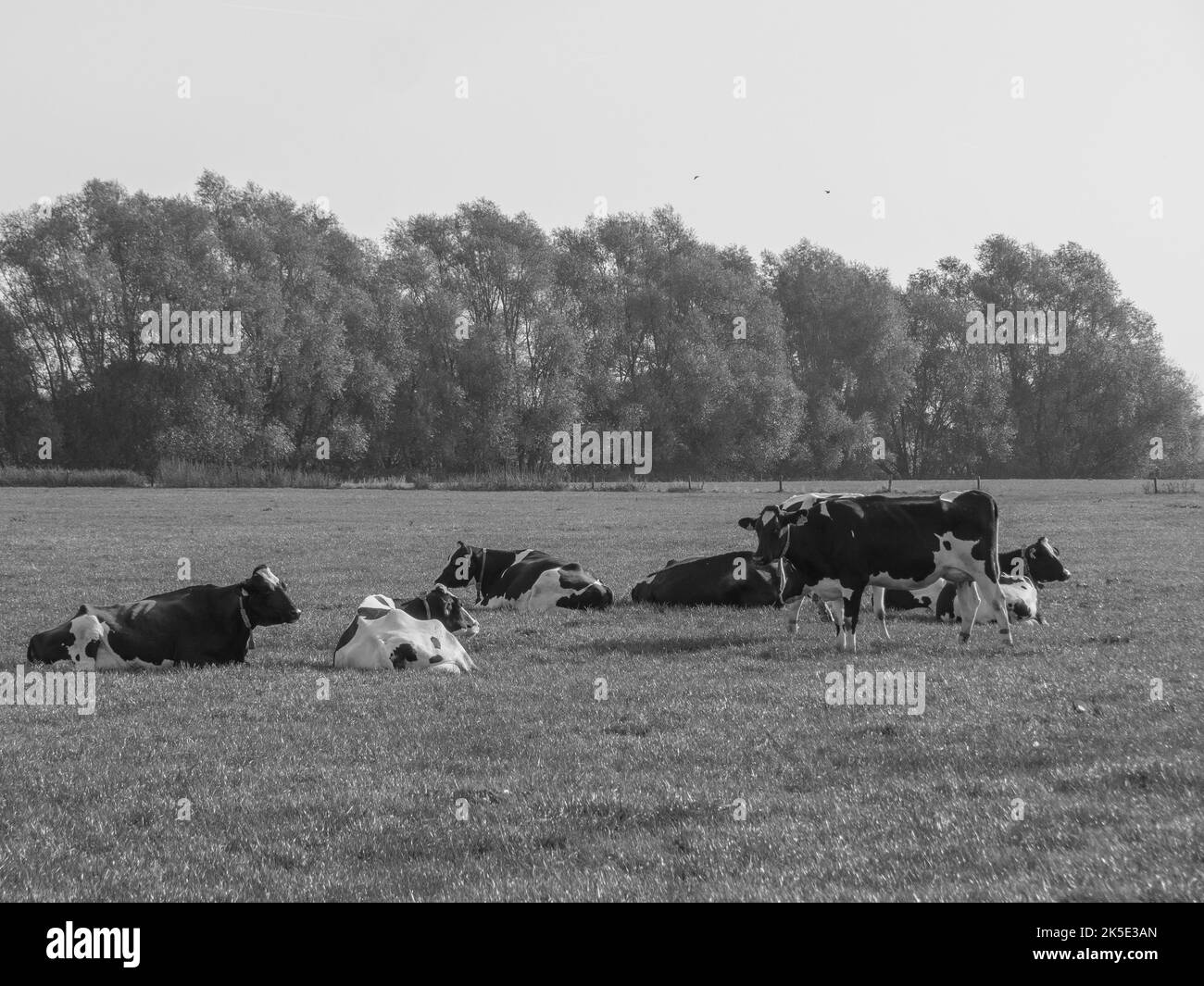 the city of Emmerich at the rhine river Stock Photo - Alamy
