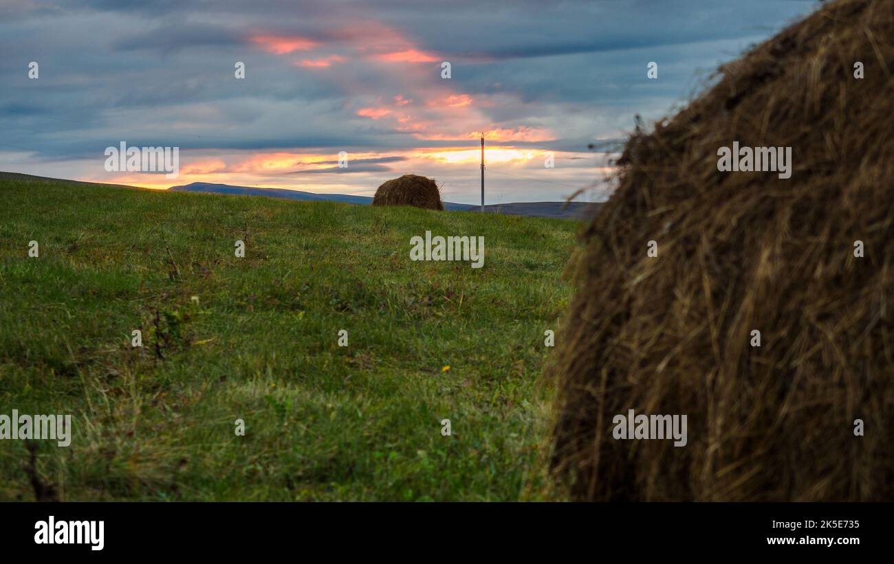 Field mowed hi-res stock photography and images - Alamy