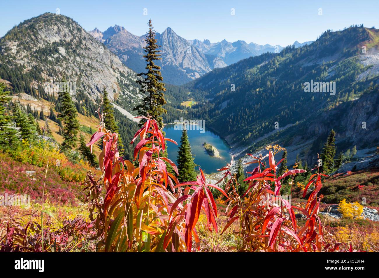 Colorful Autumn season in mountains, Washington state, USA Stock Photo ...