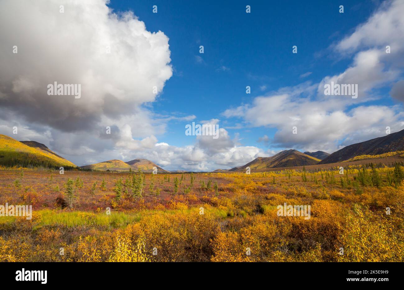 Tundra landscapes above Arctic circle in autumn season. Beautiful ...