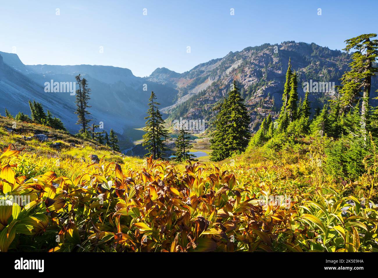 Colorful Autumn season in mountains, Washington state, USA Stock Photo ...