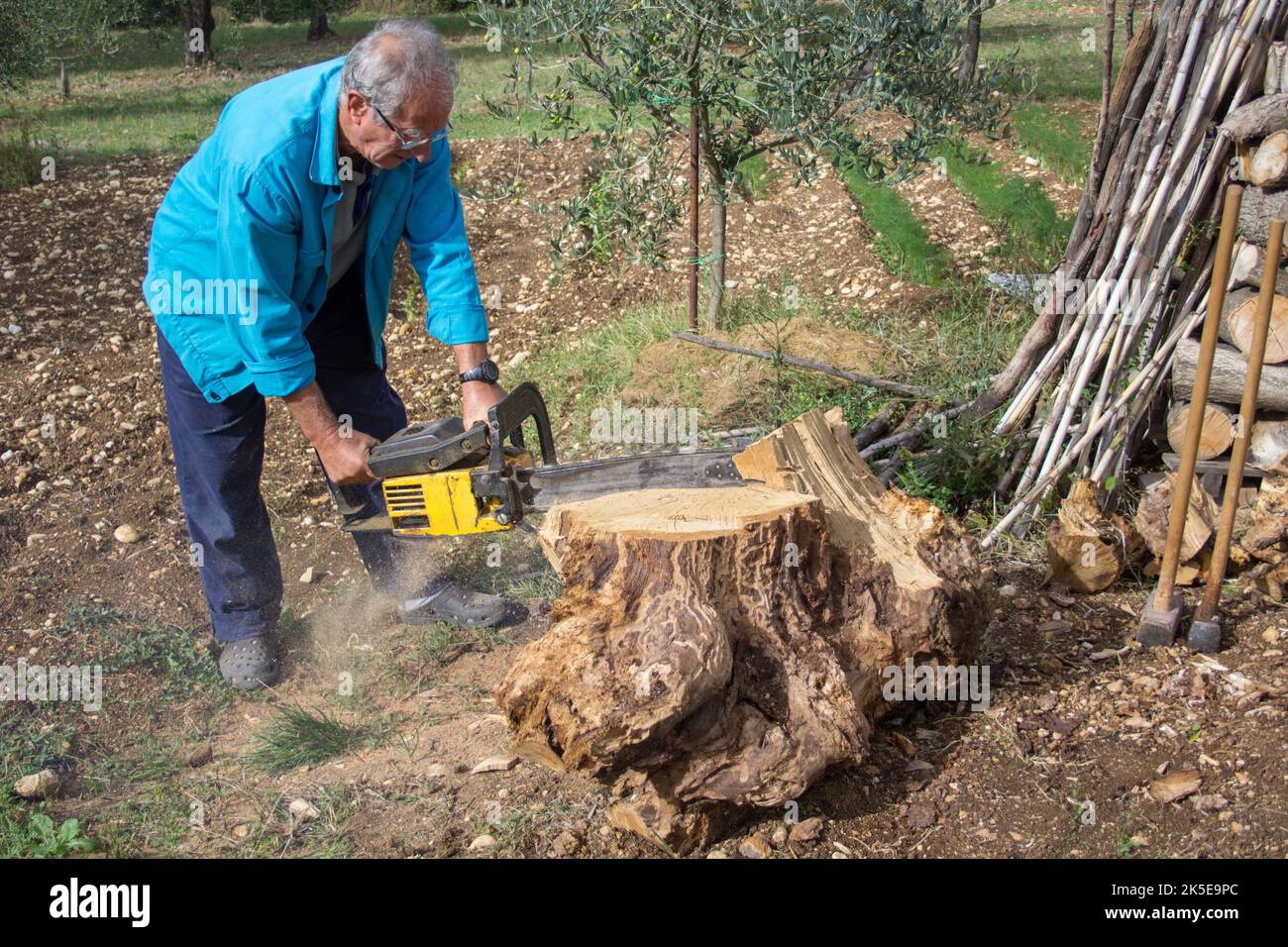 Man sawing wood on hi-res stock photography and images - Alamy