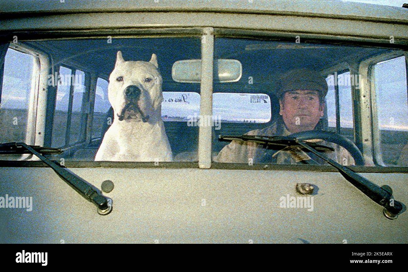 JUAN VILLEGAS, BOMBON EL PERRO: EL PERRO, 2004 Stock Photo - Alamy
