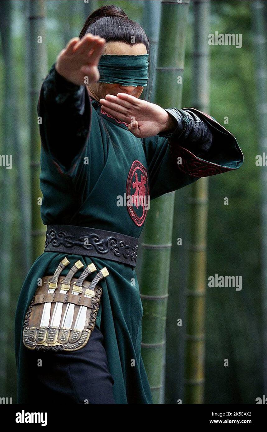 ANDY LAU, HOUSE OF FLYING DAGGERS, 2004 Stock Photo - Alamy