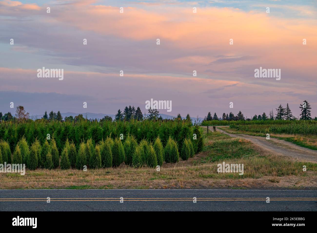 Roadsunset hi-res stock photography and images - Alamy