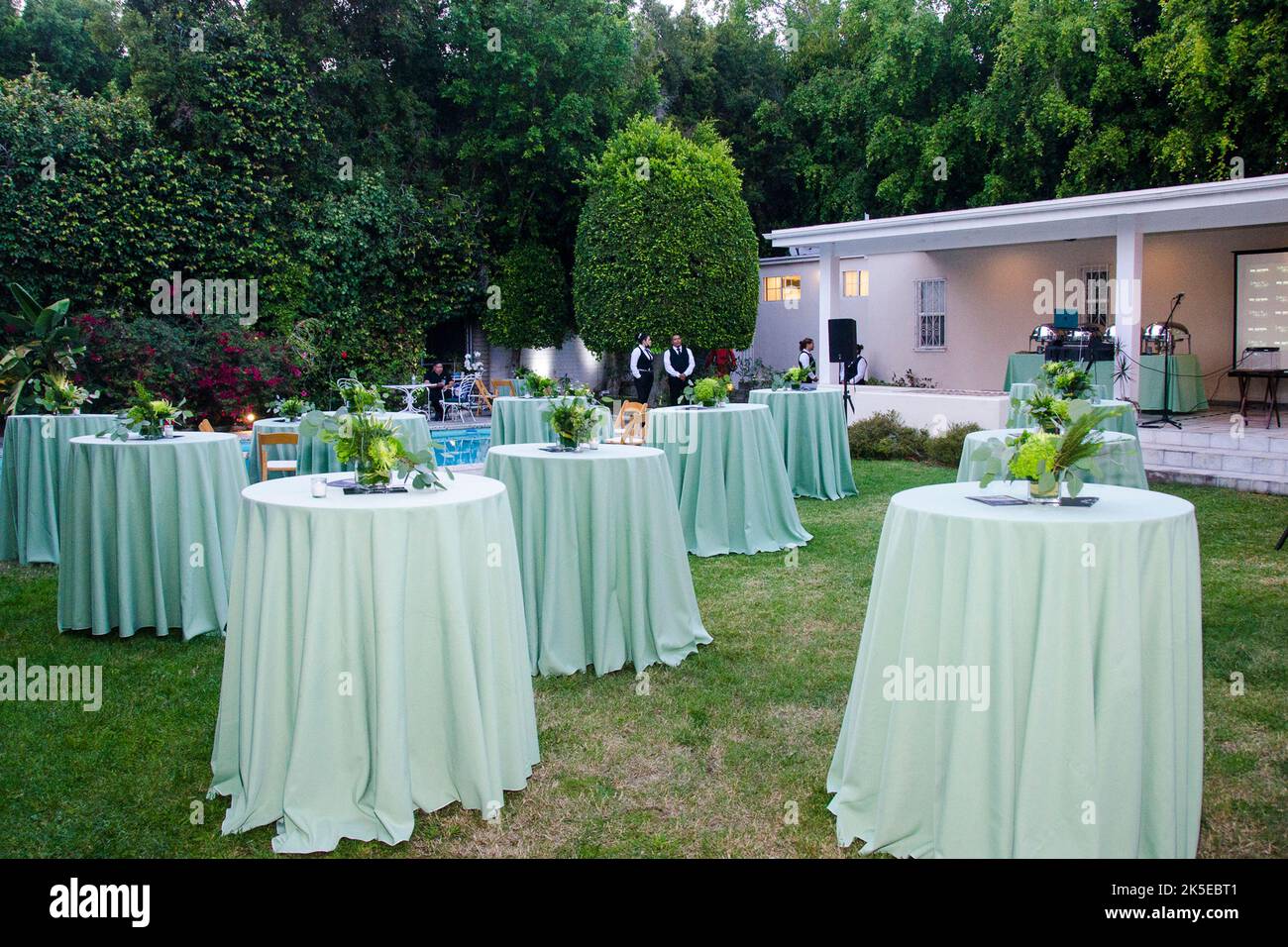 VIP reception celebrate Chef Jale Balci’s book Olives & Olive Oil ...