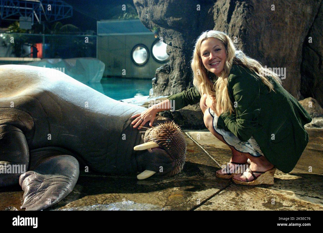 DREW BARRYMORE, 50 FIRST DATES, 2004 Stock Photo - Alamy DREW BARRYMORE, 50 FIRST DATES, 2004 Stock Photo - Alamy