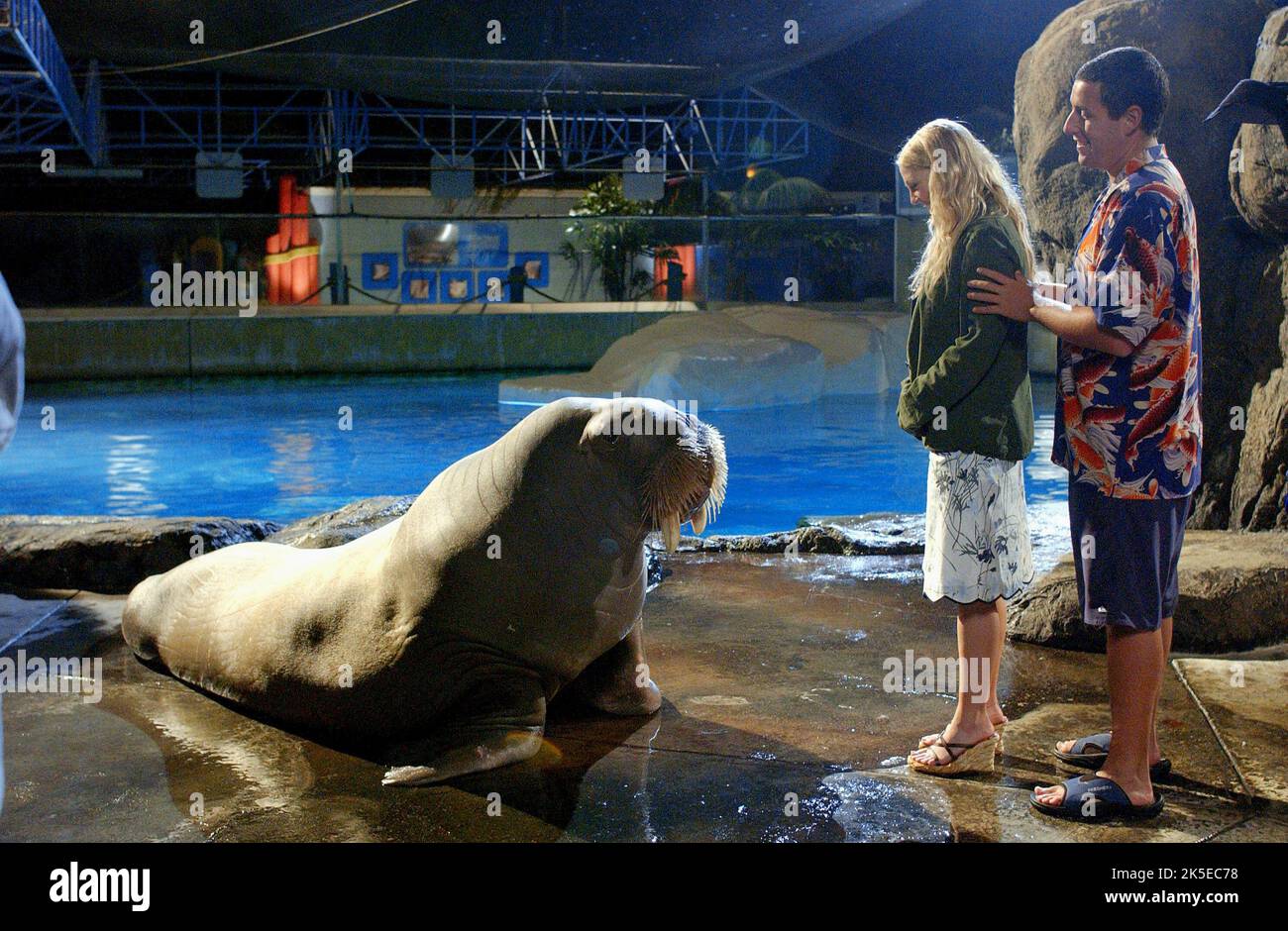 50 first dates movie stills hi-res stock photography and images - Alamy