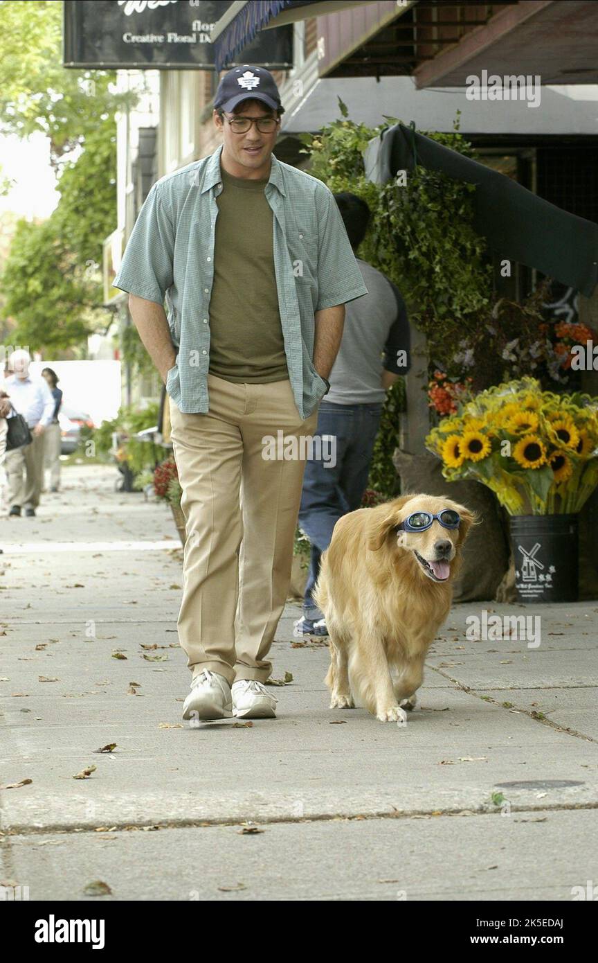 DEAN CAIN, BAILEY'S BILLIONS, 2004 Stock Photo - Alamy