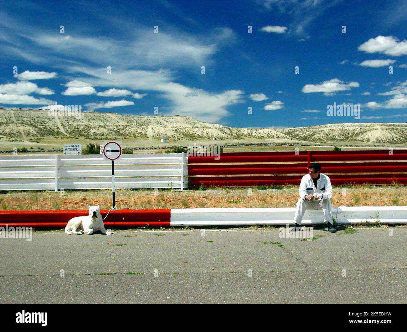 JUAN VILLEGAS, BOMBON EL PERRO: EL PERRO, 2004 Stock Photo - Alamy