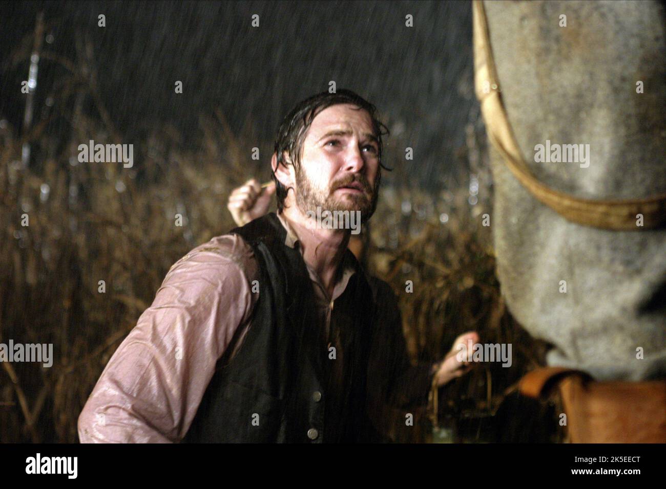 HENRY THOMAS, DEAD BIRDS, 2004 Stock Photo - Alamy
