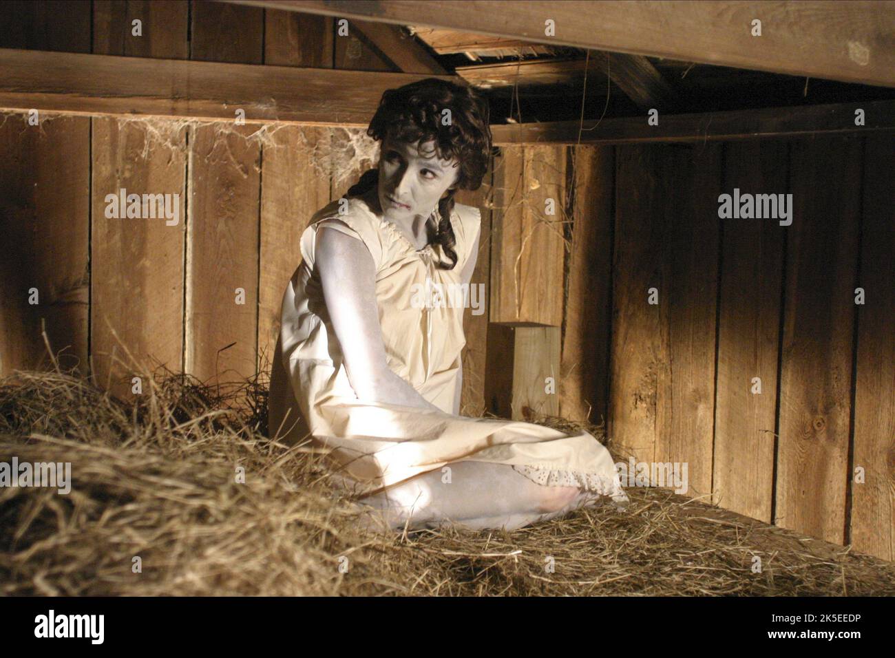 MOVIE SCENE, DEAD BIRDS, 2004 Stock Photo - Alamy