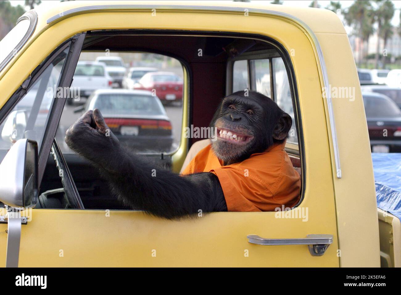 Monkey left hi-res stock photography and images - Alamy