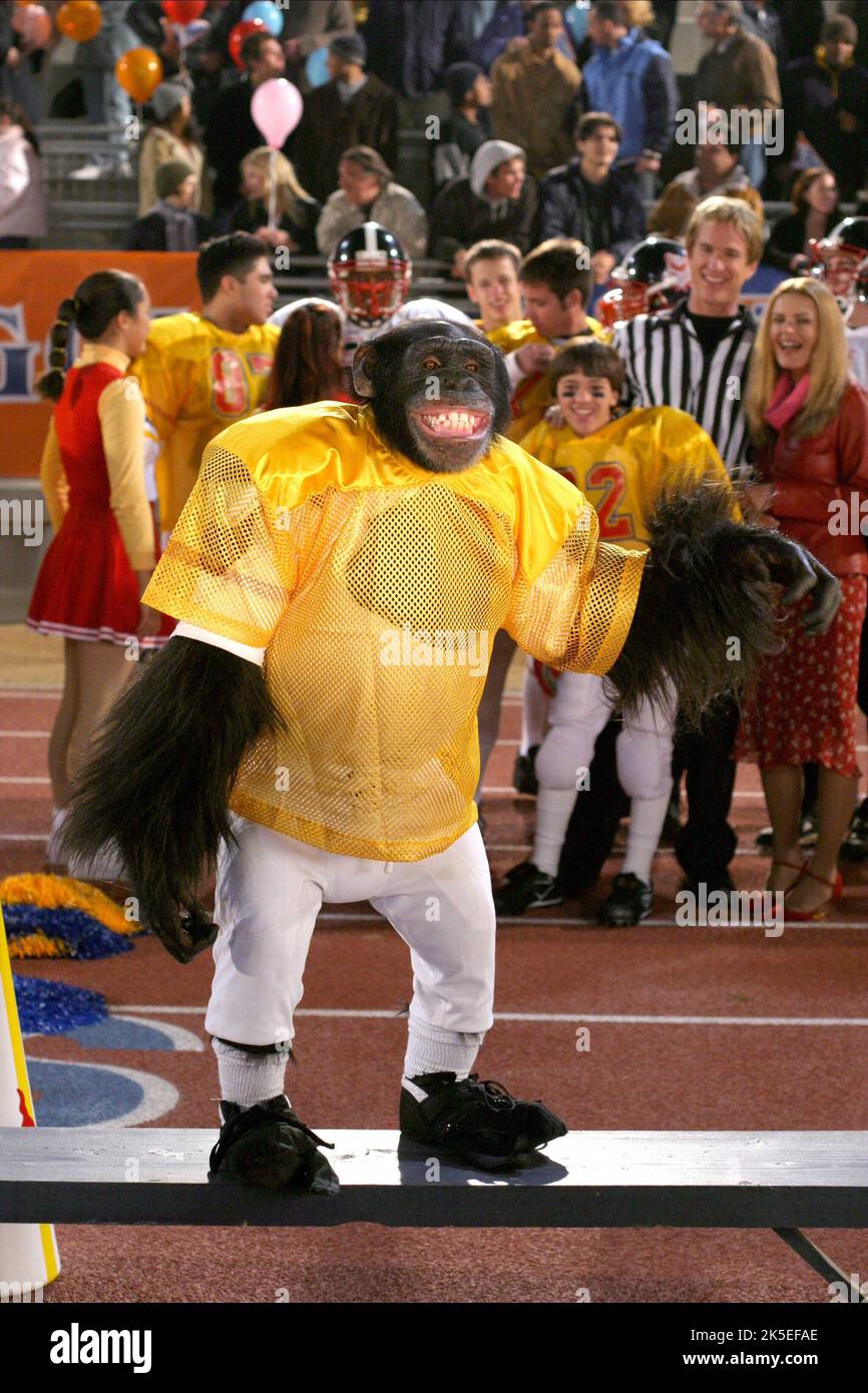 MONKEY, FUNKY MONKEY, 2004 Stock Photo - Alamy