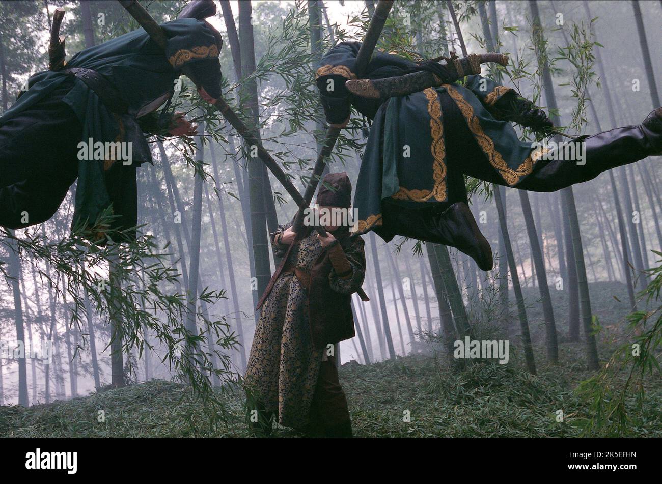 ZIYI ZHANG, HOUSE OF FLYING DAGGERS, 2004 Stock Photo - Alamy