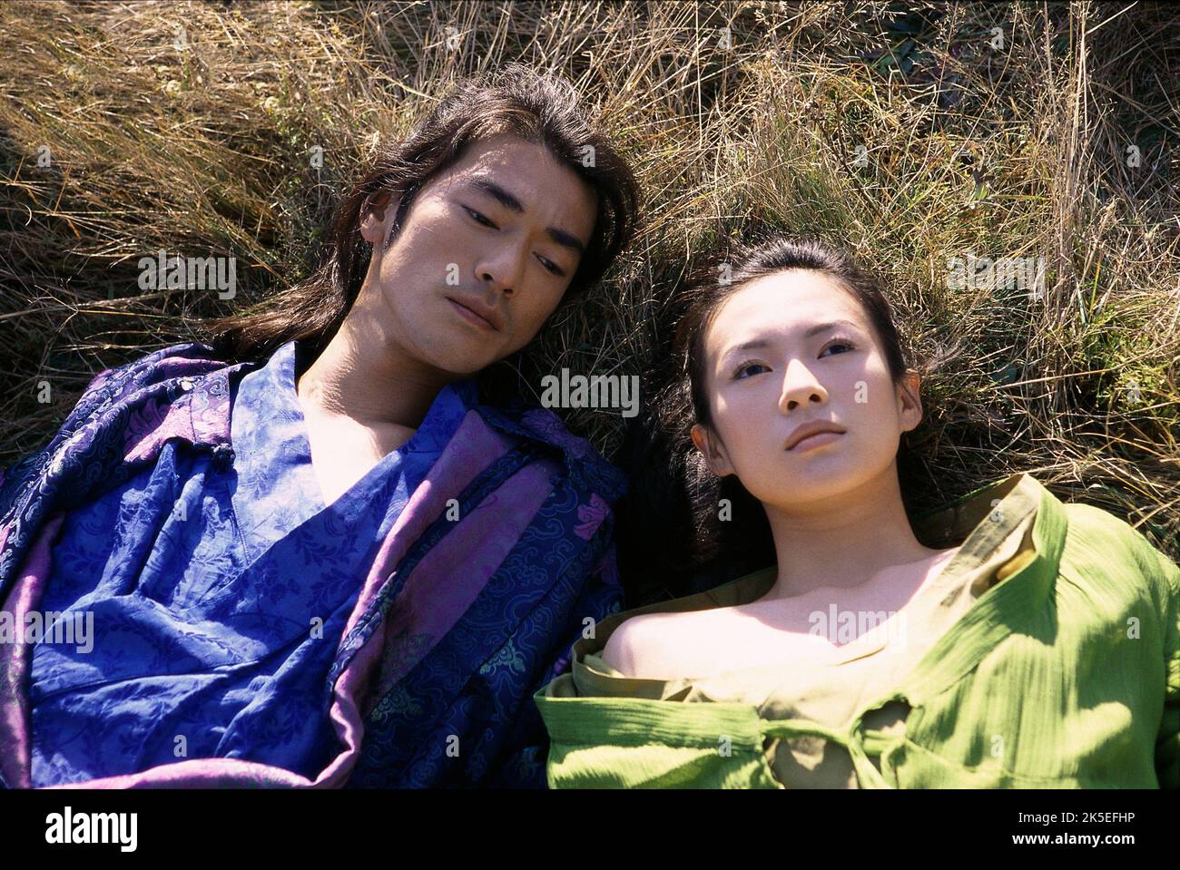 House Of Flying Daggers Wallpaper