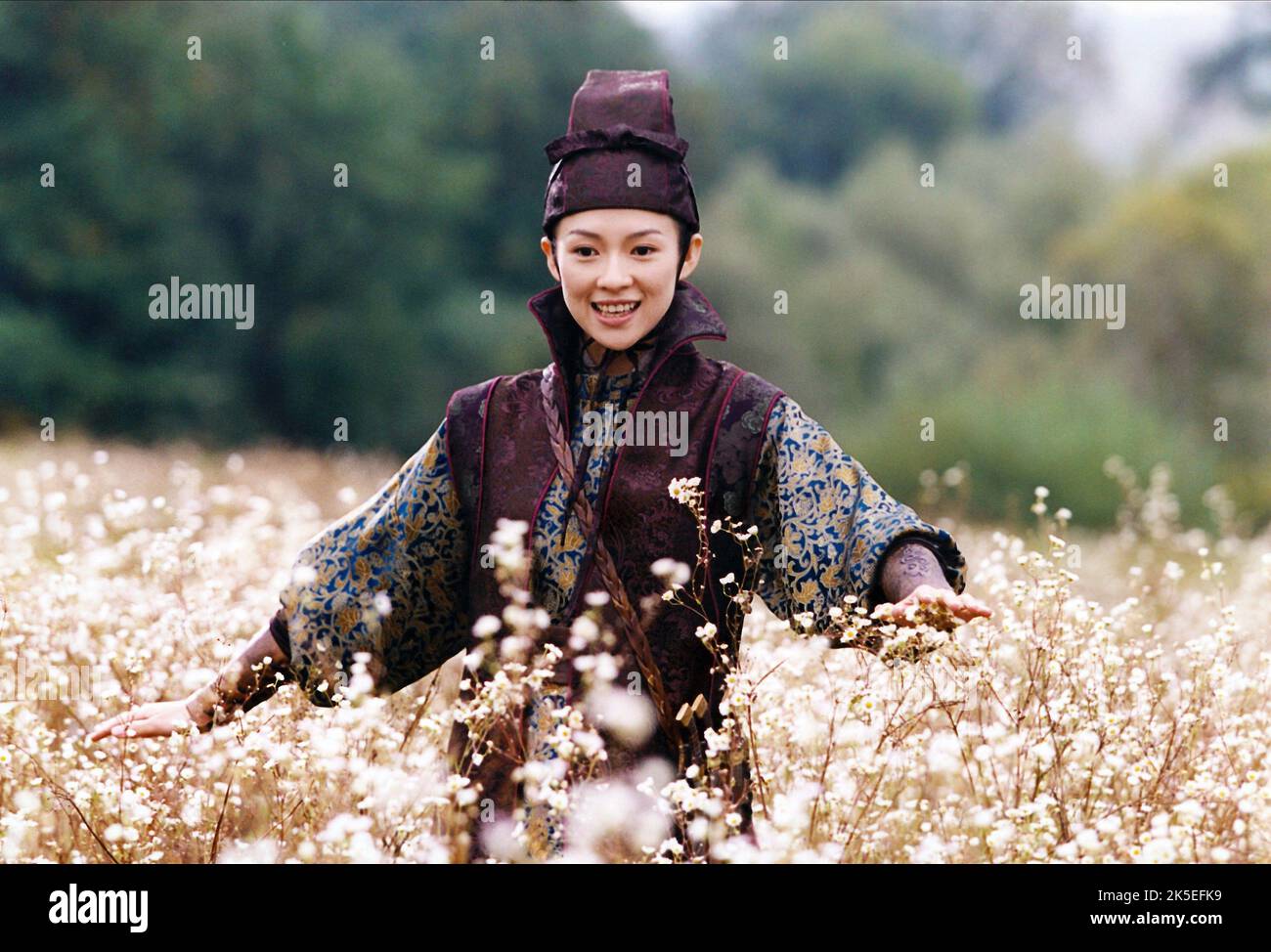 ZIYI ZHANG, HOUSE OF FLYING DAGGERS, 2004 Stock Photo - Alamy