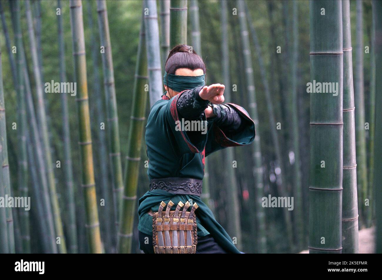 ANDY LAU, HOUSE OF FLYING DAGGERS, 2004 Stock Photo - Alamy