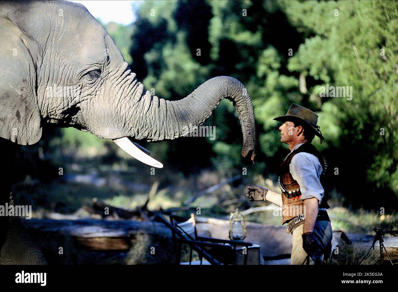 PATRICK SWAYZE WITH ELEPHANT, KING SOLOMON'S MINES, 2004 Stock Photo ...