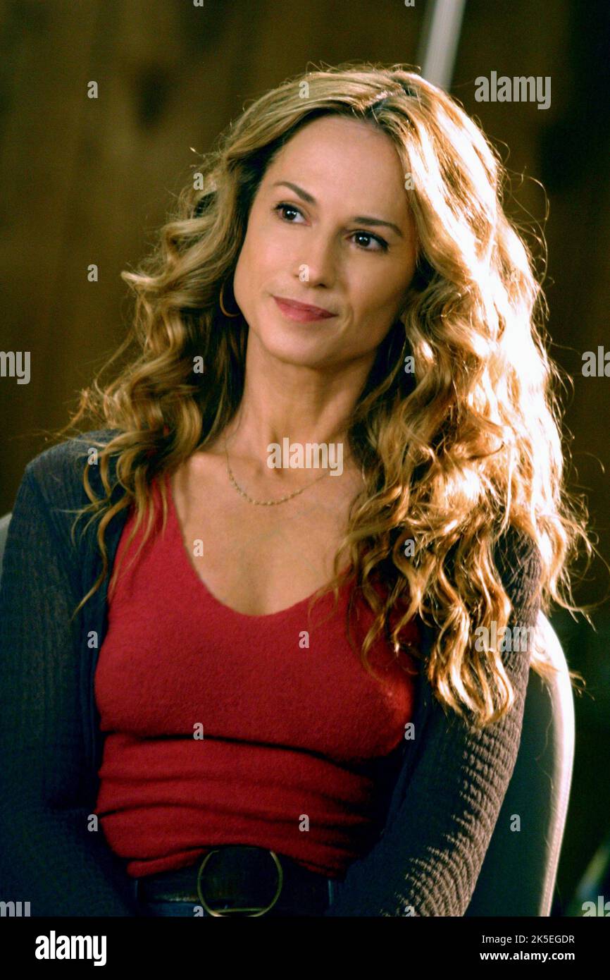 HOLLY HUNTER, LITTLE BLACK BOOK, 2004 Stock Photo - Alamy
