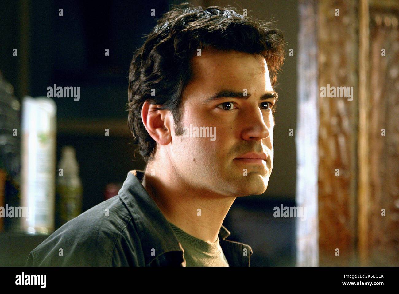 RON LIVINGSTON, LITTLE BLACK BOOK, 2004 Stock Photo - Alamy
