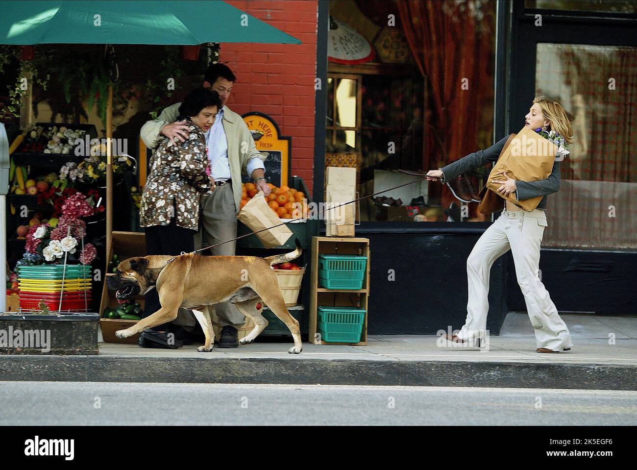 Black little dog hi-res stock photography and images - Alamy