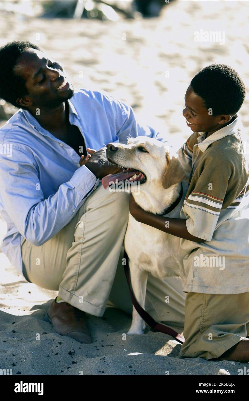 Kelley the dog hi-res stock photography and images - Alamy