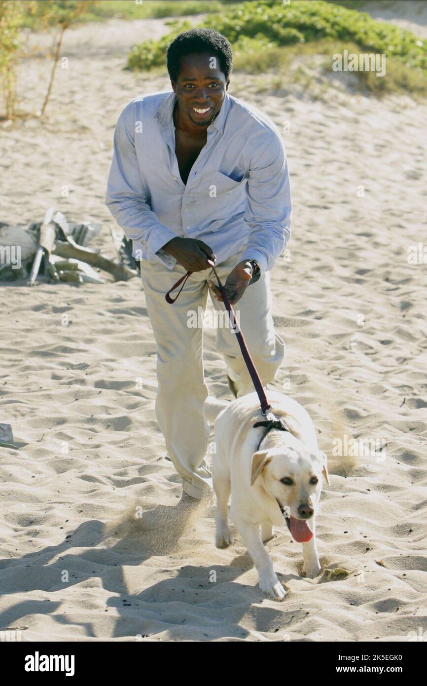 HAROLD PERRINEAU, DOG, LOST : SEASON 1, 2004 Stock Photo - Alamy