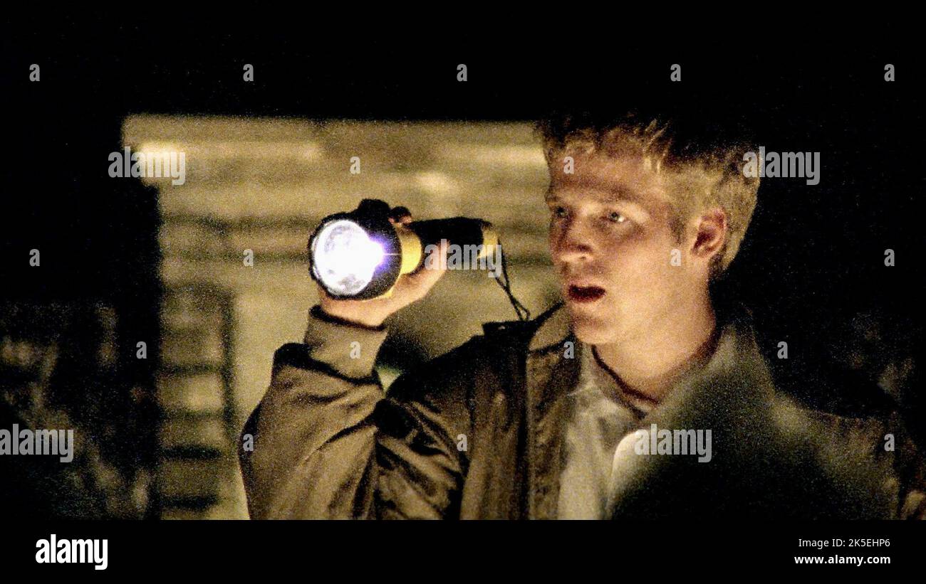 DAVID SULLIVAN, PRIMER, 2004 Stock Photo - Alamy
